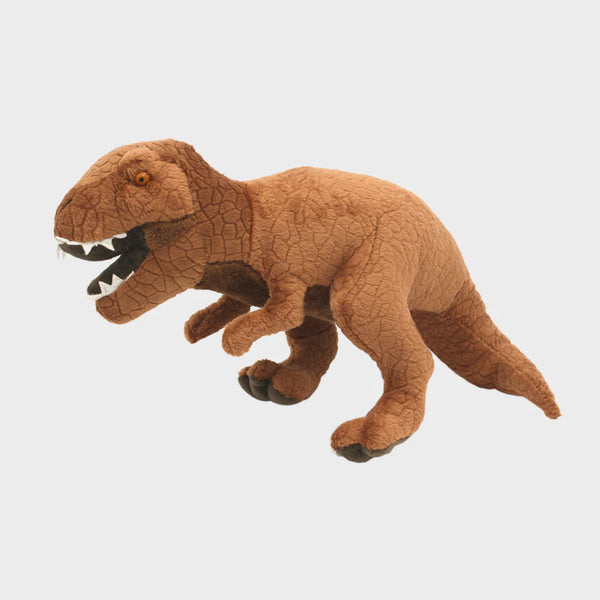 Dinosaur Pals T Rex – Kids Collection